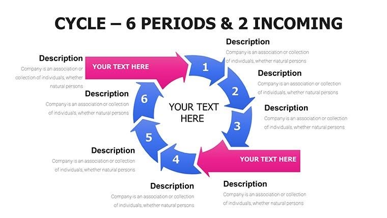 Infographic Cycle Periods and Incoming Keynote charts | ImagineLayout.com