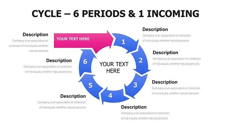 Infographic Cycle Periods and Incoming Keynote charts