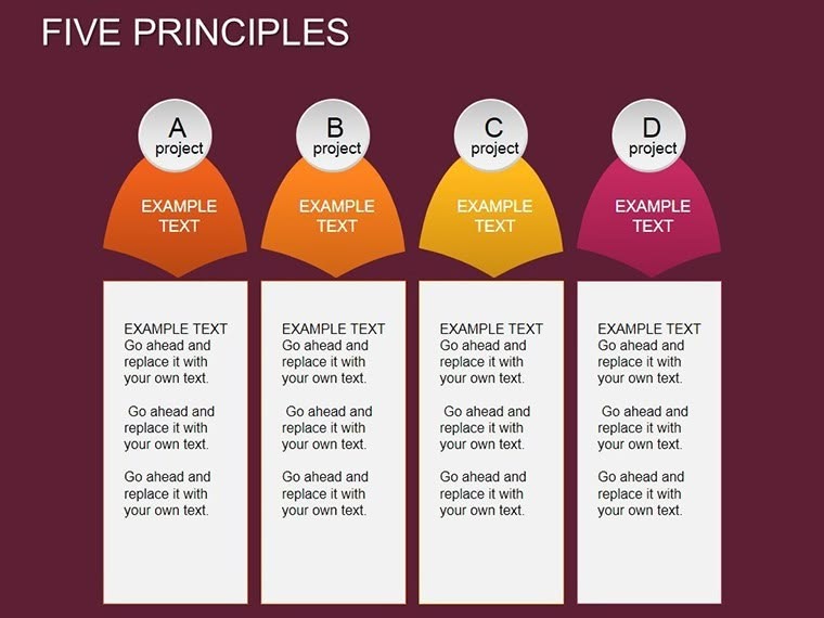 5 Principles Keynote charts