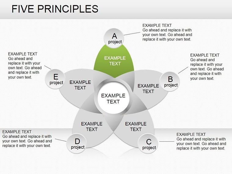 5 Principles Keynote charts