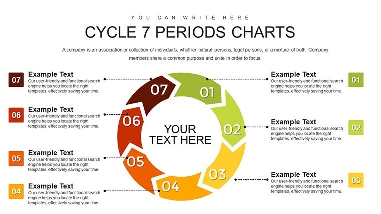Cycle charts - 7 Periods Cycle Keynote charts