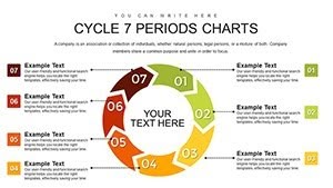 Cycle charts - 7 Periods Cycle Keynote charts