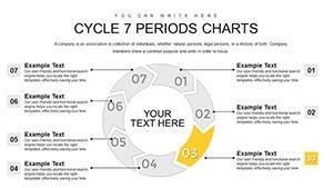 Cycle charts - 7 Periods Cycle Keynote charts