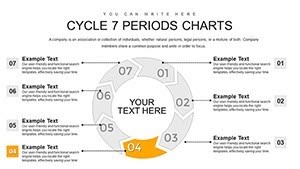 Cycle charts - 7 Periods Cycle Keynote charts
