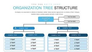 Organization Tree Keynote Charts Template: Presentation