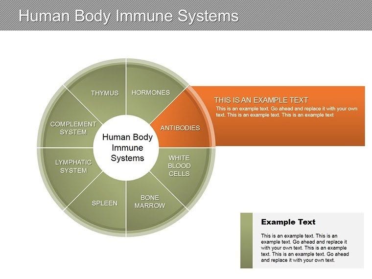 Human Body Immune Systems PowerPoint Charts Template - Download Now