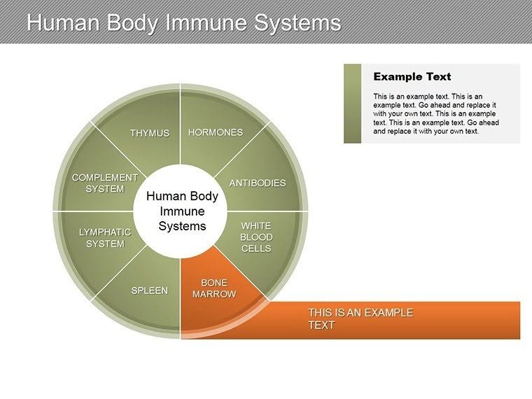 Human Body Immune Systems PowerPoint Charts Template - Download Now