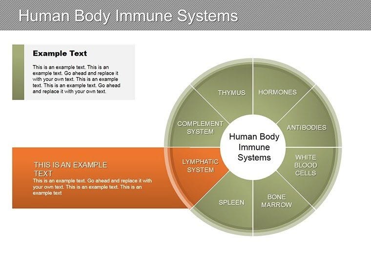 Human Body Immune Systems PowerPoint Charts Template - Download Now