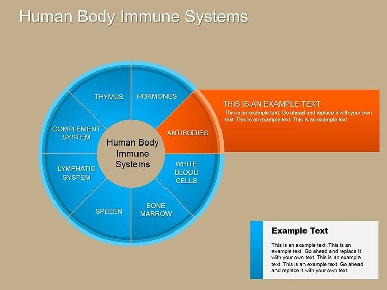 Human Body Immune Systems PowerPoint Charts Template - Download Now