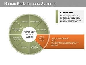 Human Body Immune Systems PowerPoint Charts Template - Download Now