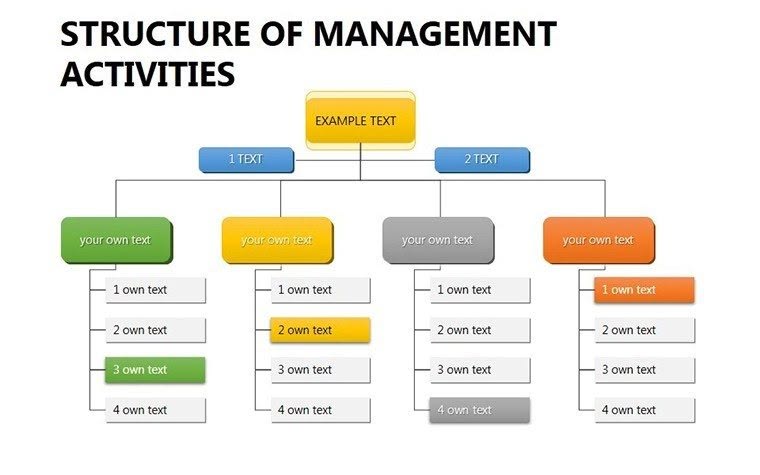 Project Organizational Structure PowerPoint Charts Template