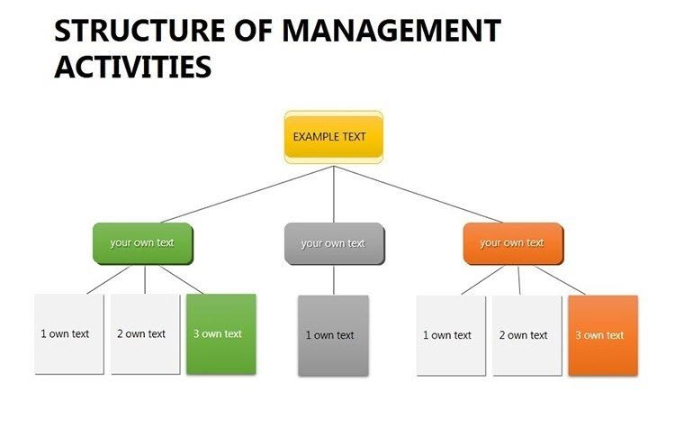 Project Organizational Structure PowerPoint Charts Template