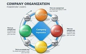 Company Organization PowerPoint Charts Template