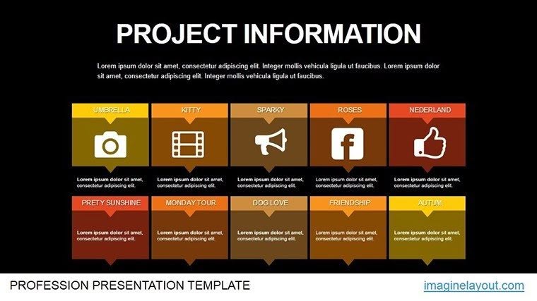 Project Information Animation PowerPoint charts templates