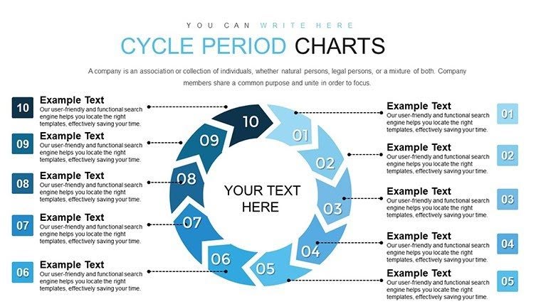 Collection Periods Cycle PowerPoint Charts Template for Presentations