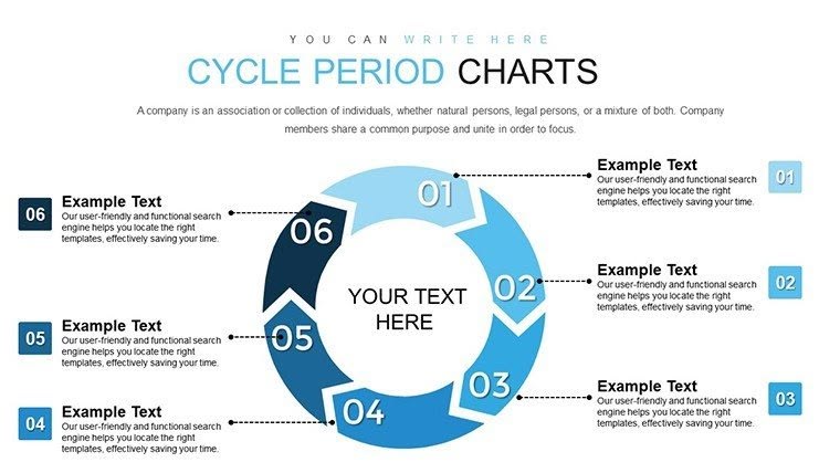 Collection Periods Cycle PowerPoint Charts Template for Presentations