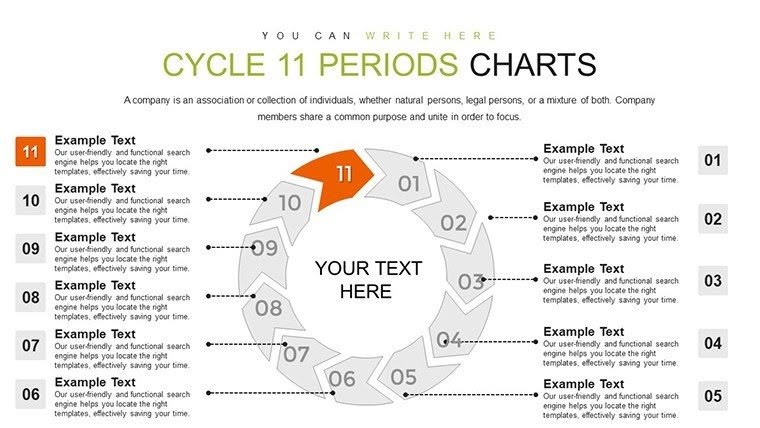Cycle 11 Periods PowerPoint Charts Template Download | Presentation PPTX
