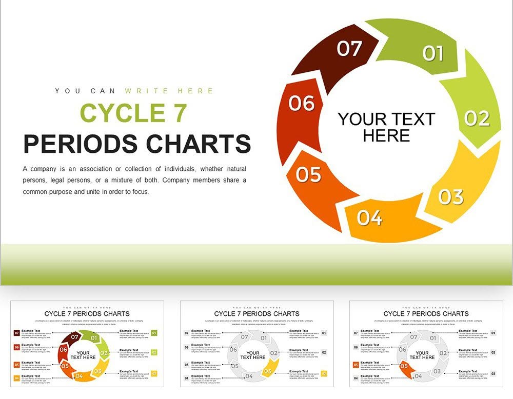 Cycle - 7 Periods PowerPoint charts | ImagineLayout.com