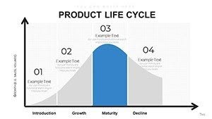 Product Life Cycle PowerPoint diagrams
